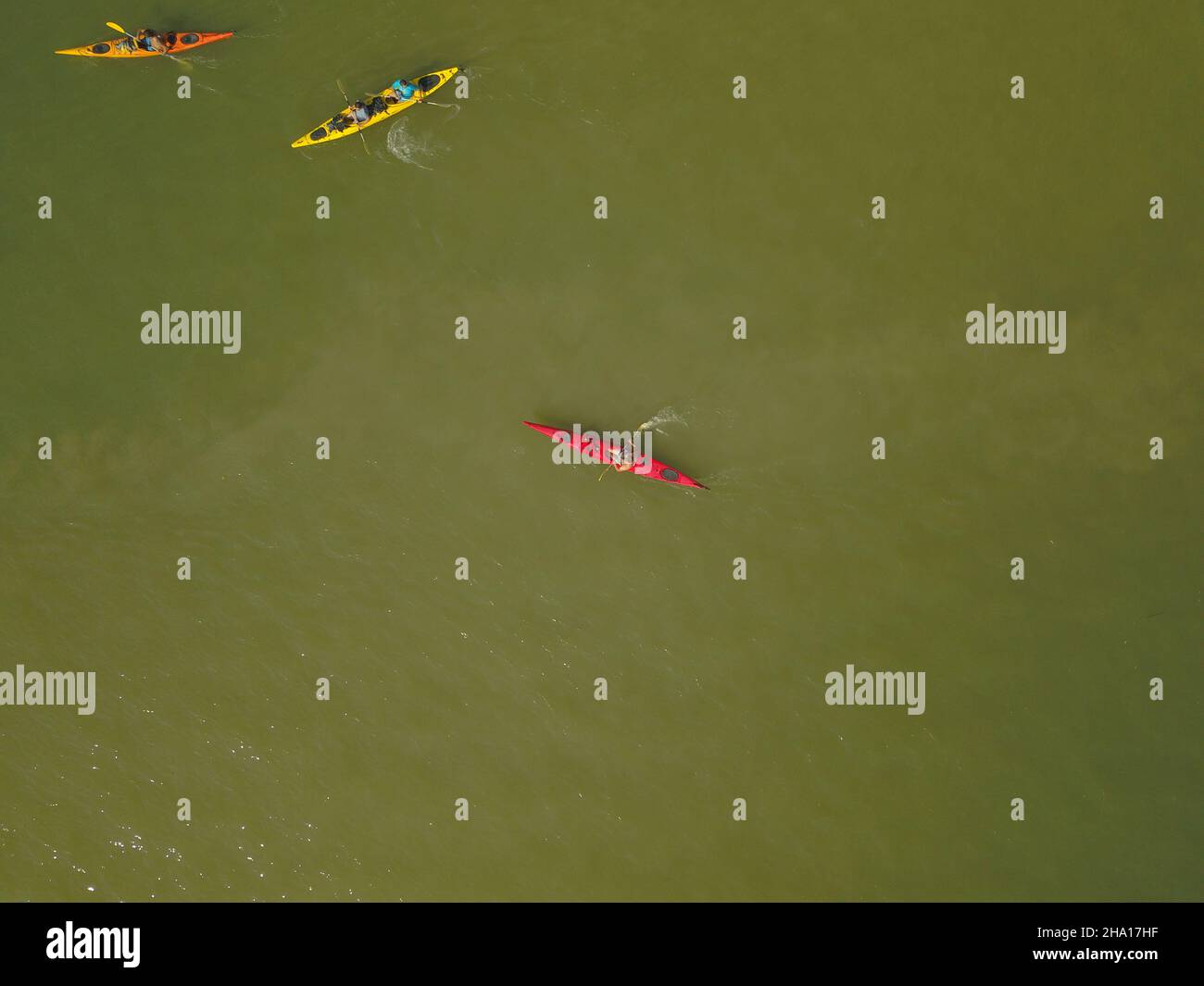 Top view of canoes in the green water Stock Photo - Alamy