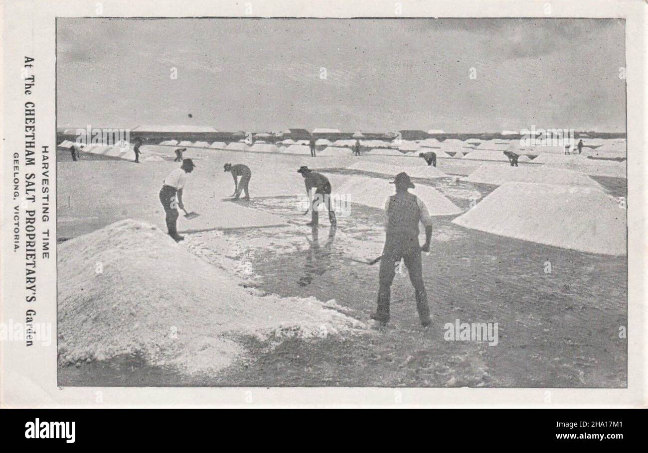 Cheetham salt hi-res stock photography and images - Alamy