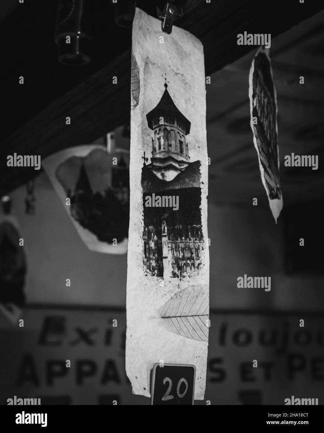 BUCHARES, ROMANIA - Aug 25, 2021: A beautiful grayscale shot of a ...