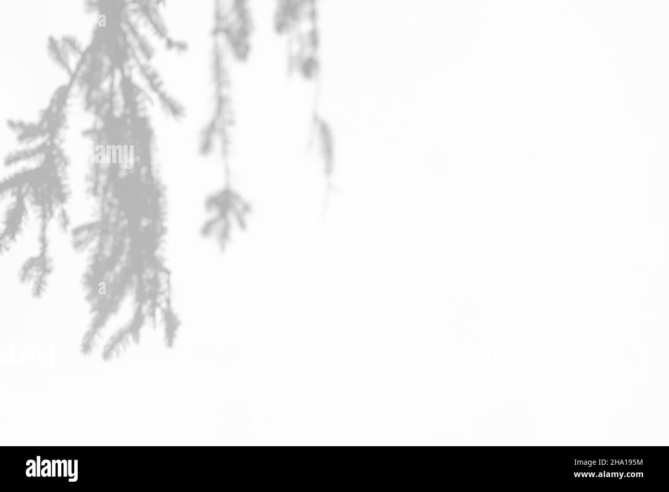 Shadow overlay effects for branding. Mockups. Scenes of natural ...