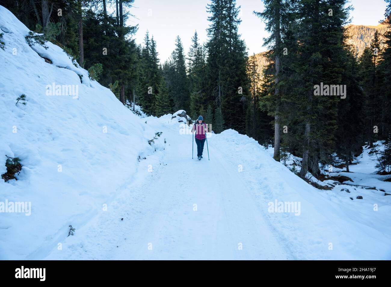 Walking through snowy forest hi-res stock photography and images - Alamy