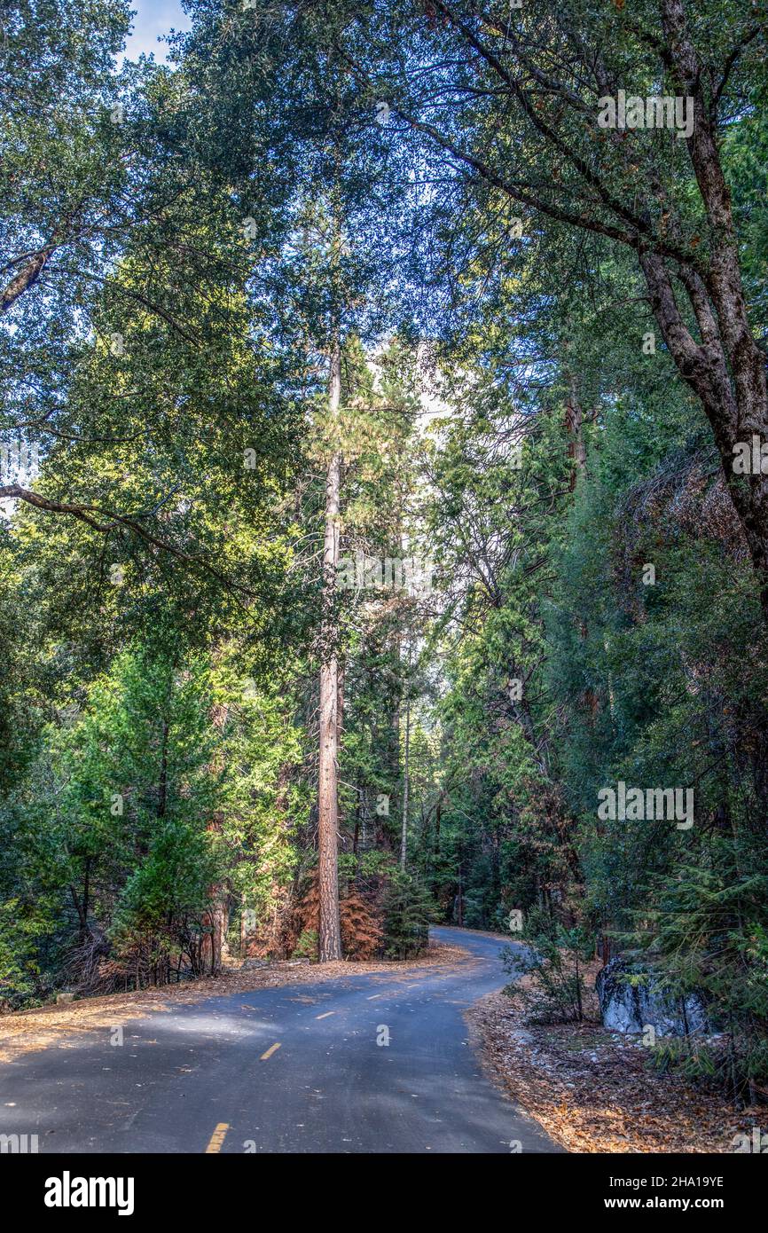 The Valley Loop Trail in Yosemite Valley in California Stock Photo - Alamy