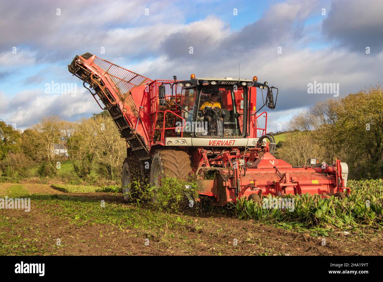6 row harvester High Resolution Stock Photography and Images - Alamy