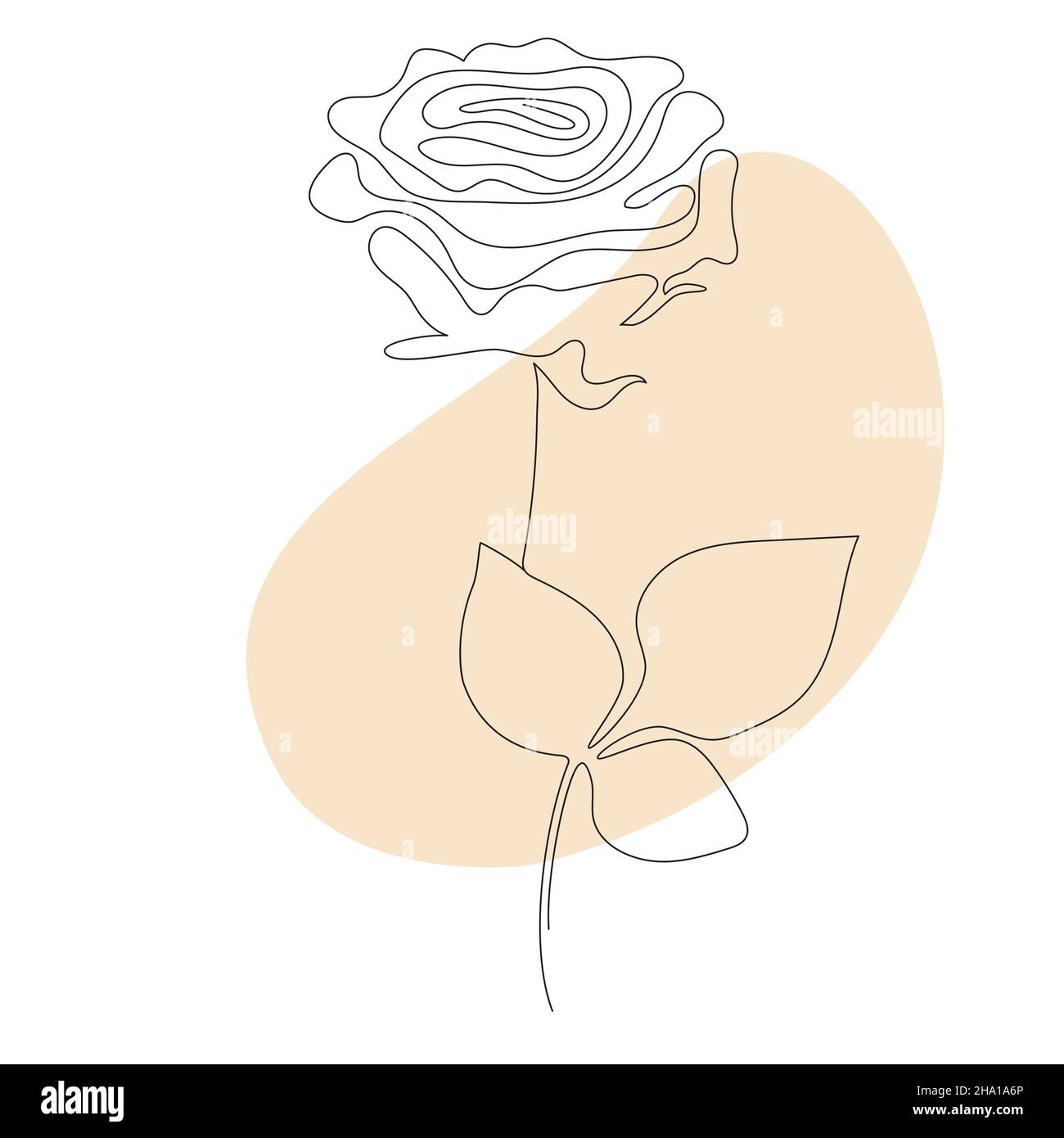 Beautiful flower Rose- Line art . Vector illustration. Continuous line ...