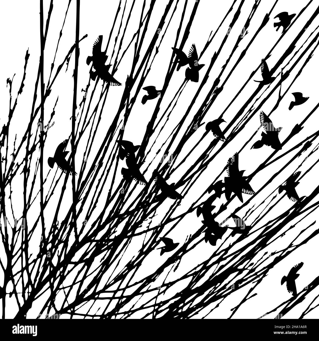 the background of the tree branch with birds . Vector illustration ...