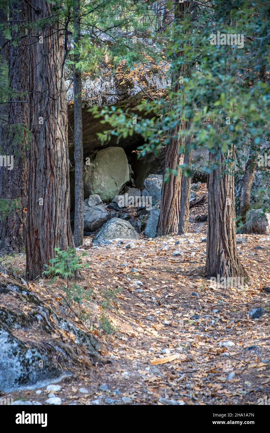 The Valley Loop Trail in Yosemite Valley in California Stock Photo - Alamy