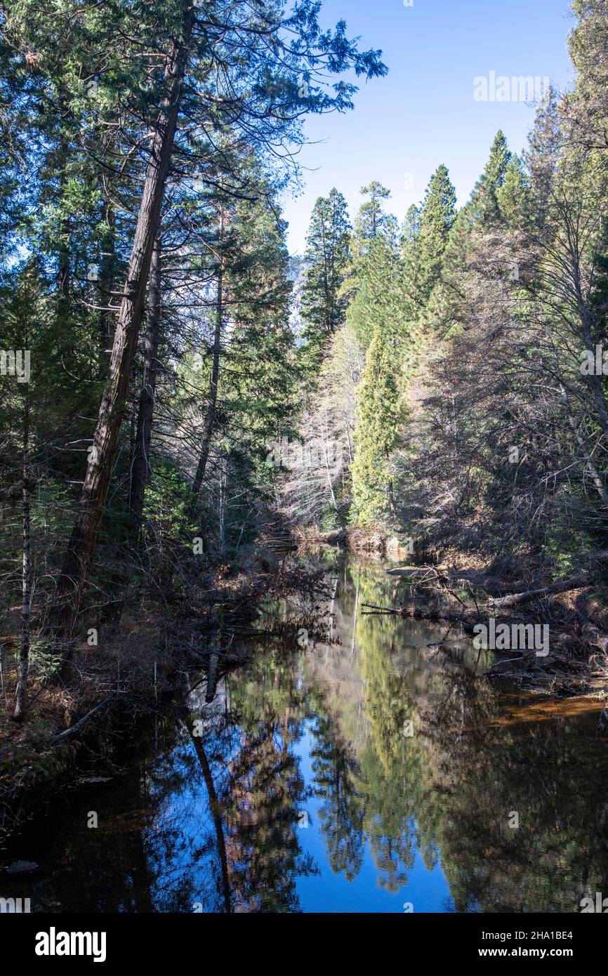 Tenaya Creek flows through Yosemite Valley in California Stock Photo ...