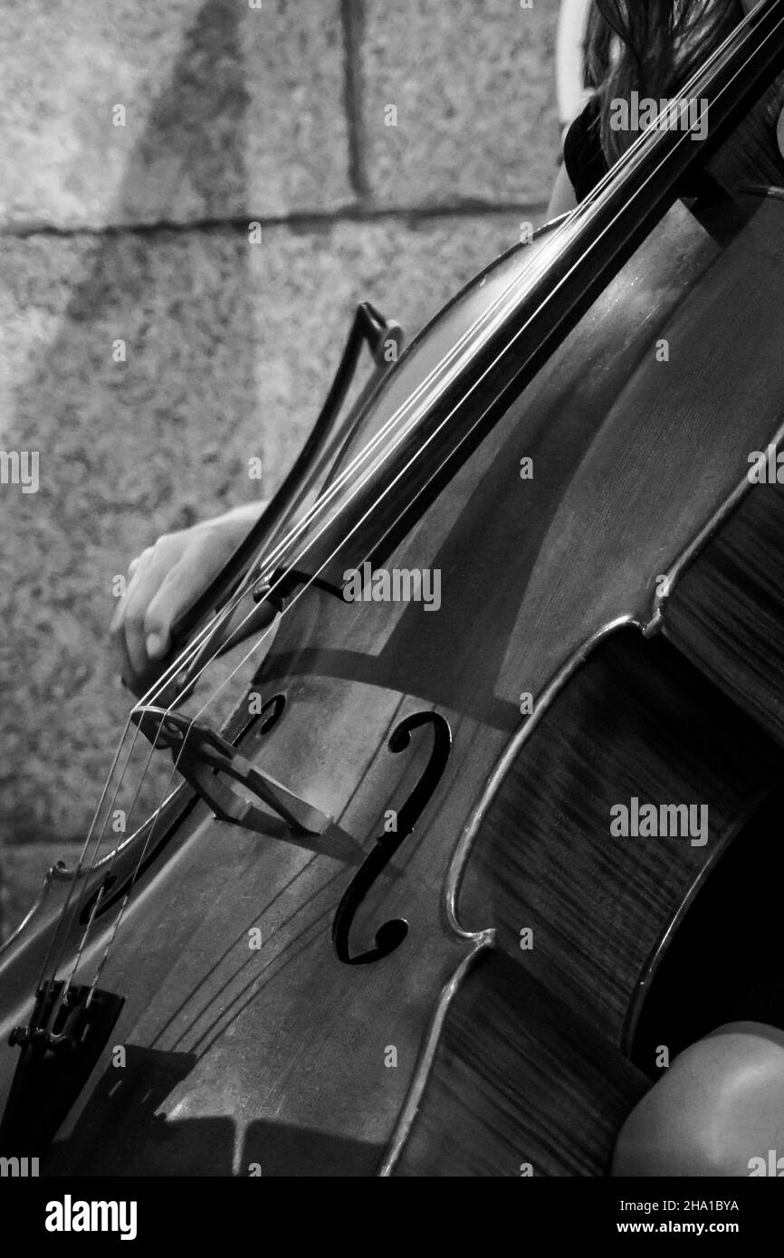 Elegant woman playing the bass in a church in black and white Stock ...