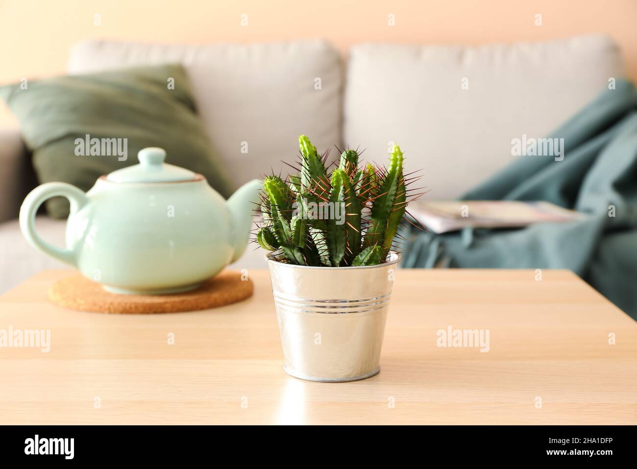 Green cactus and teapot on table in room Stock Photo - Alamy