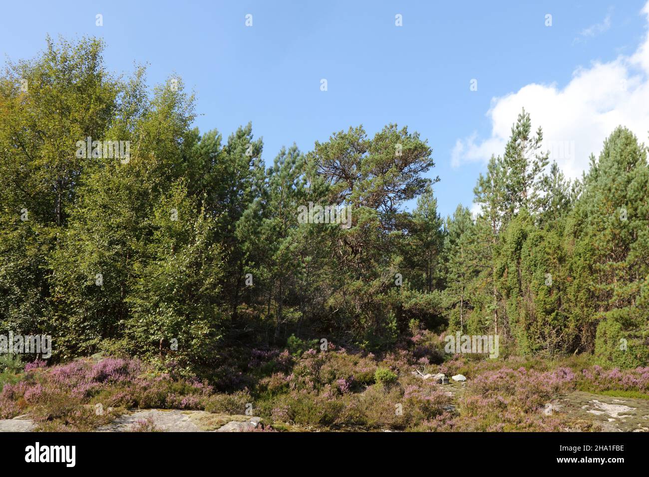 Norwegen - Landschaft bei Nordrevik und Vadheim / Norway - Landscape ...