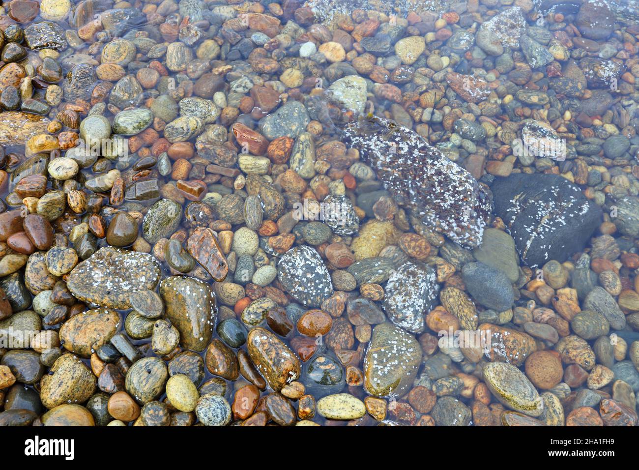 Stein steine kiesel kieselstein kieselsteine hi-res stock photography ...