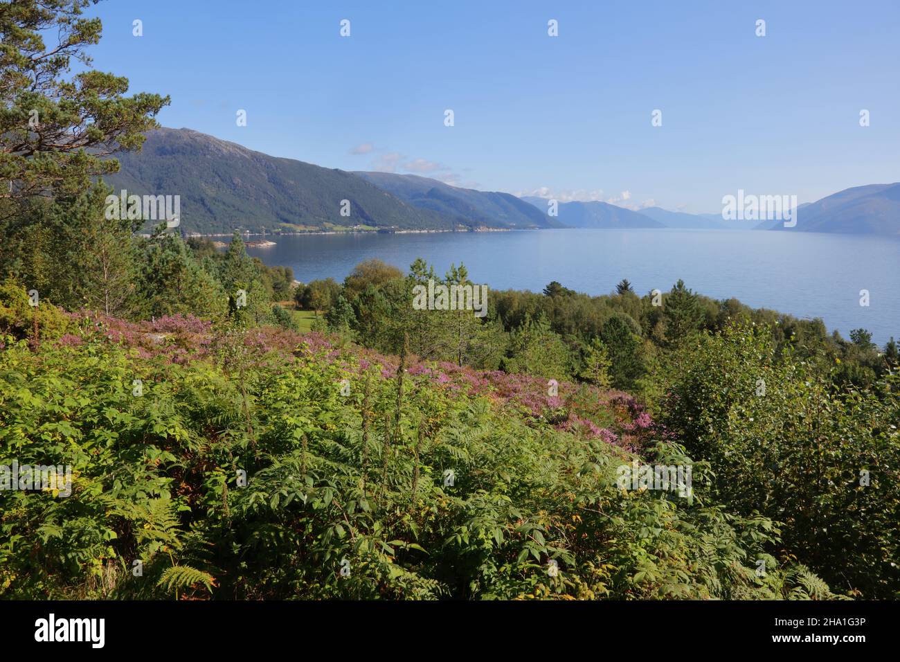 Norwegen - Sognefjord bei Nordrevik und Vadheim / Norway - Sognefjorden ...