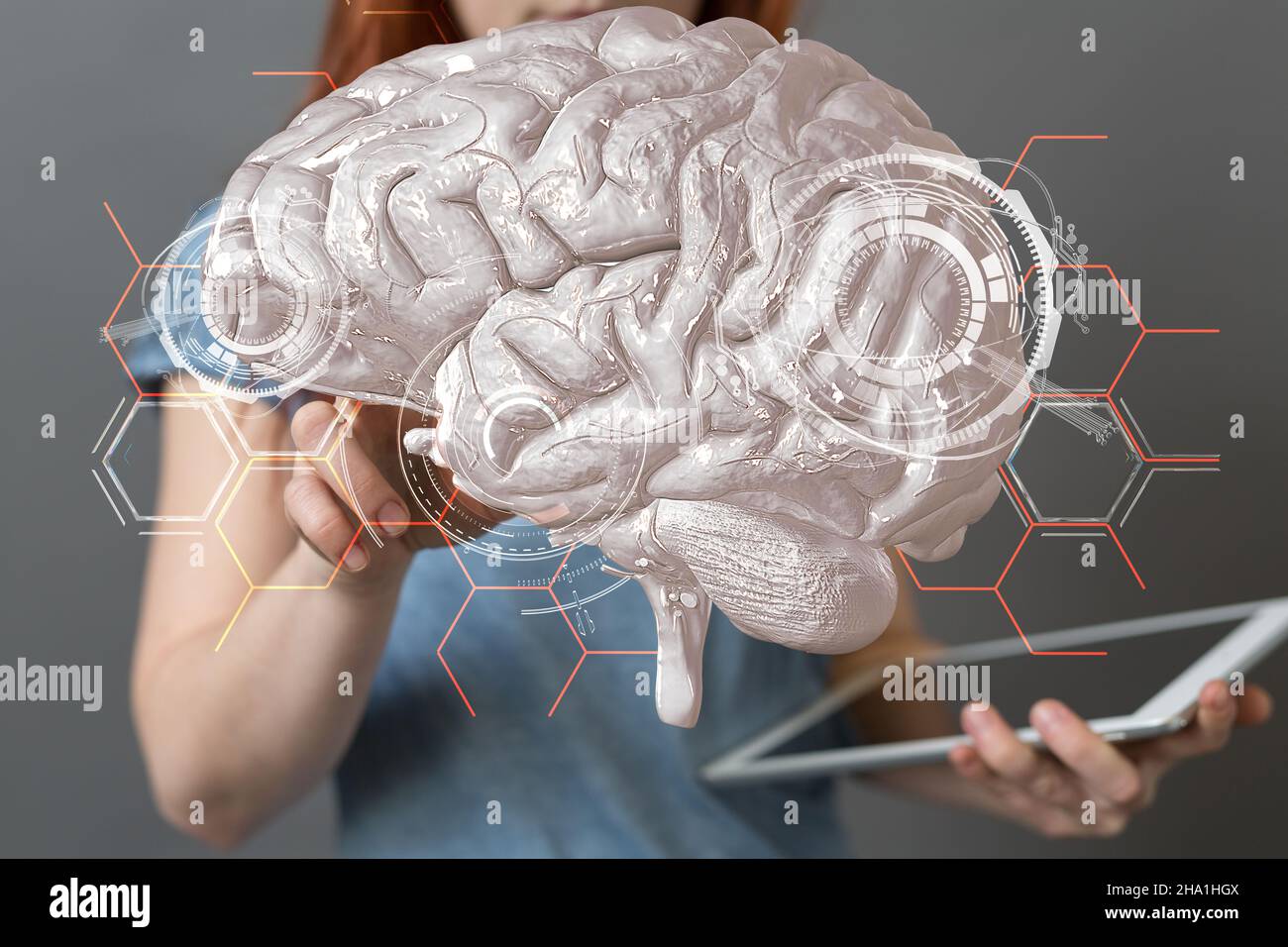 Female tapping on 3D rendered brain while holding a tablet Stock Photo ...