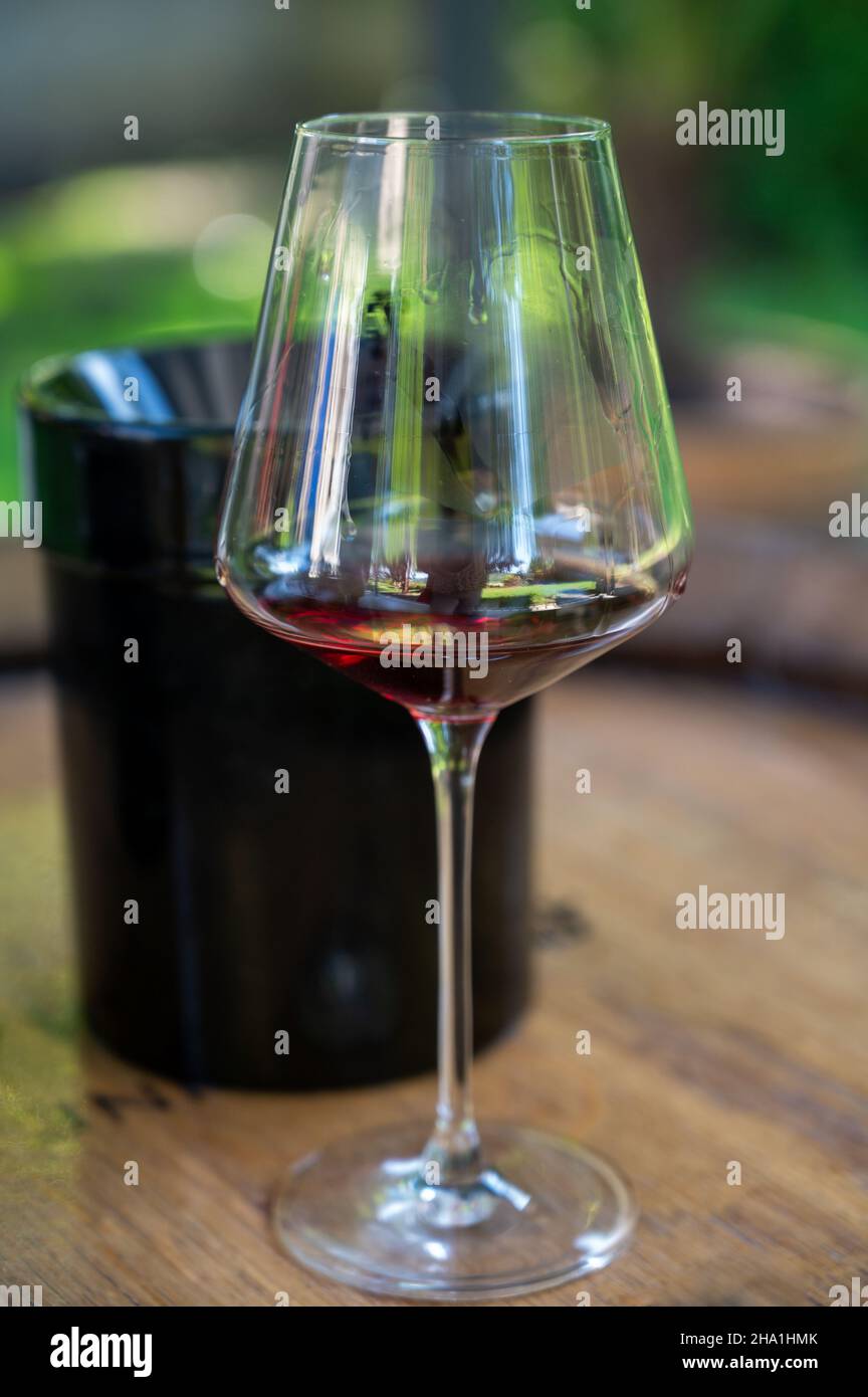 Tasting of dry expensive burgundy red wine made from pinot noir grapes ...