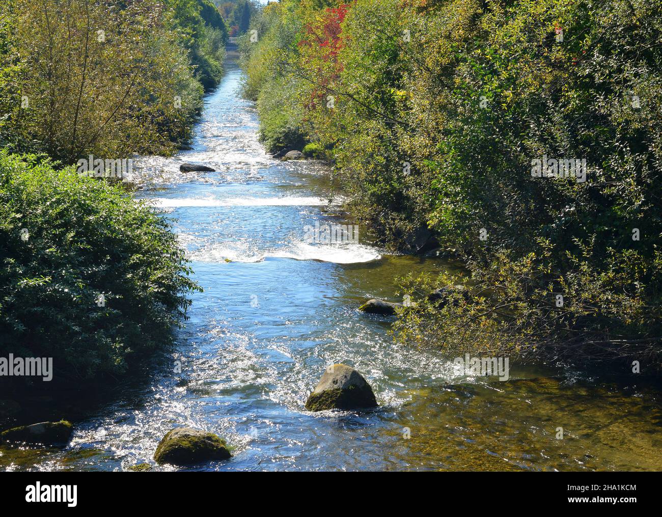 View over a small river with stone background and beautiful trees Stock ...