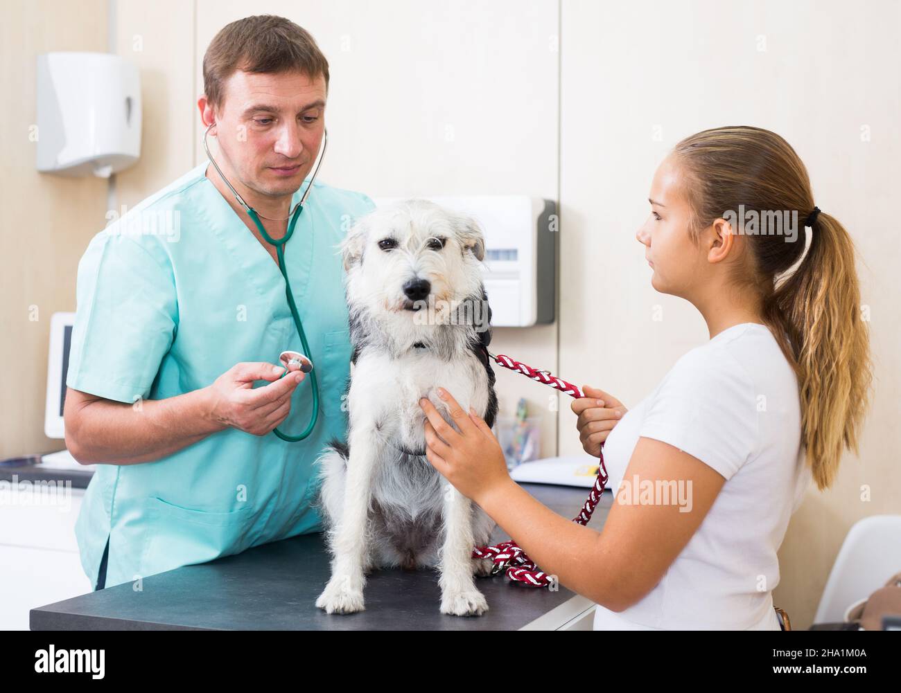 Veterinary office man hi-res stock photography and images - Alamy