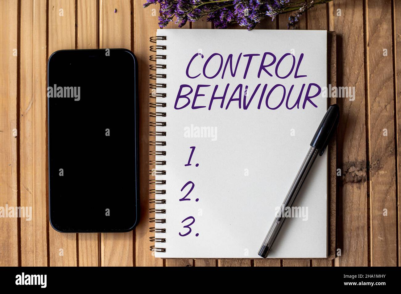 Conceptual display Control Behaviour. Business overview Exercise of ...