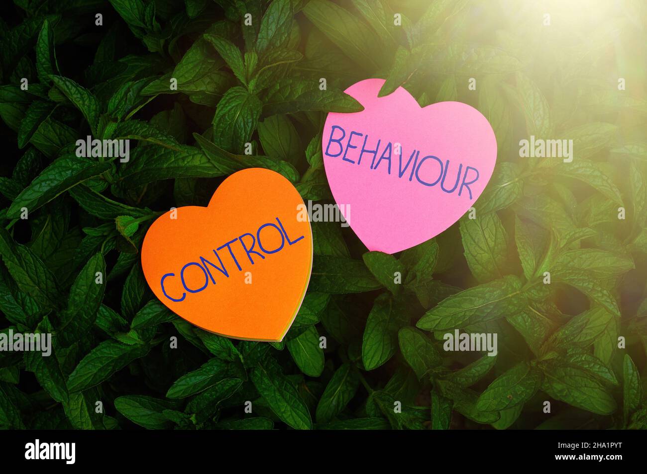 Conceptual display Control Behaviour. Business overview Exercise of ...