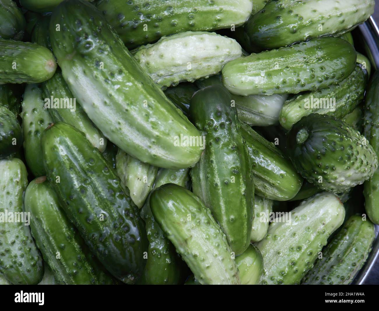 Fresh green cucumbers, Backgrounds, useful tools for graphics works ...
