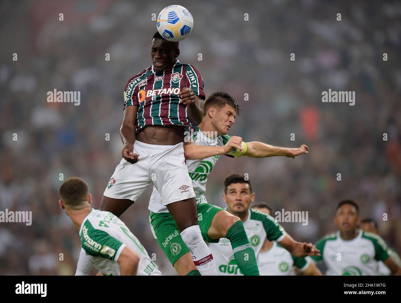 Pedro perotti hi-res stock photography and images - Alamy