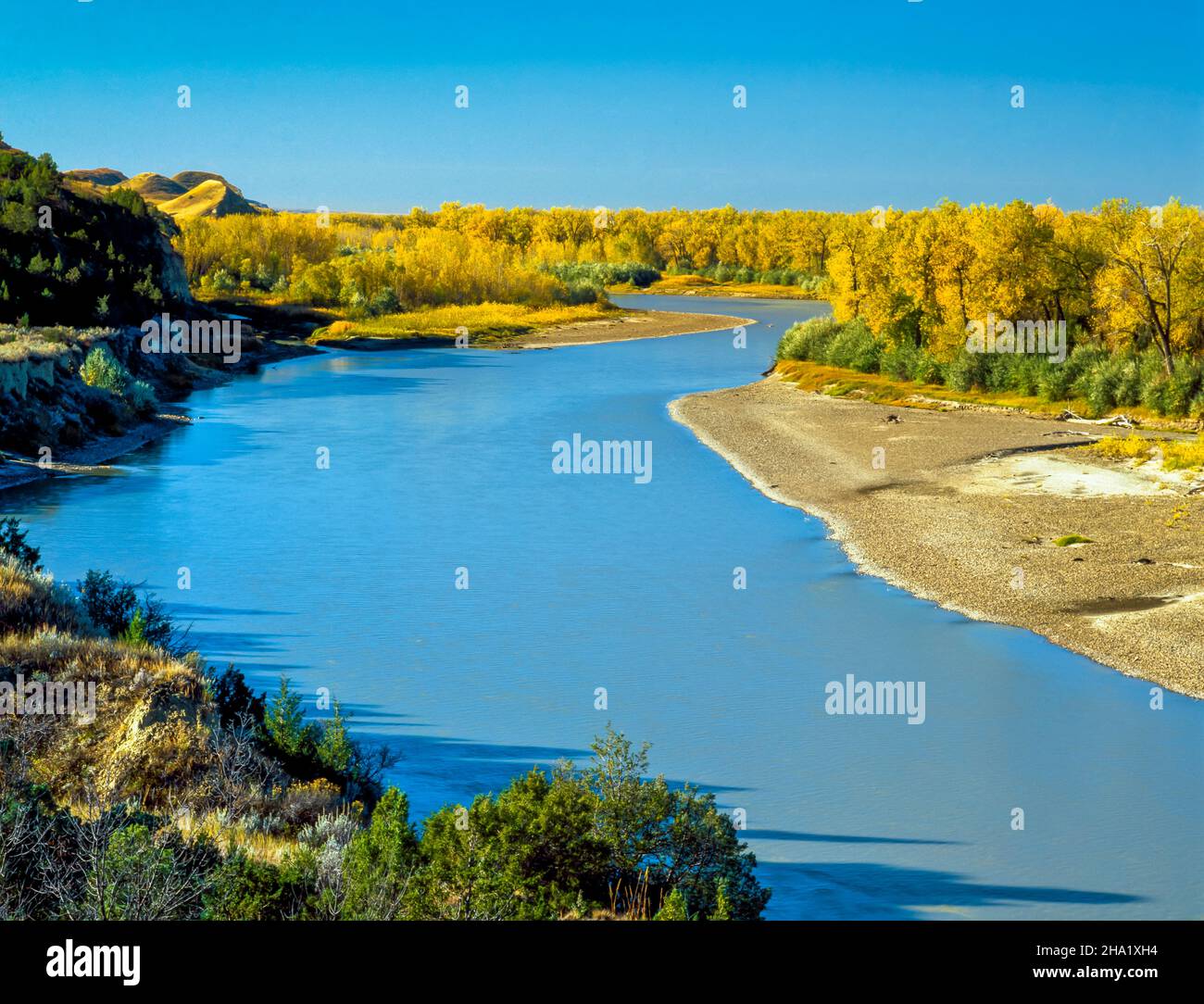 fall colors along the yellowstone river at elk island wildlife ...