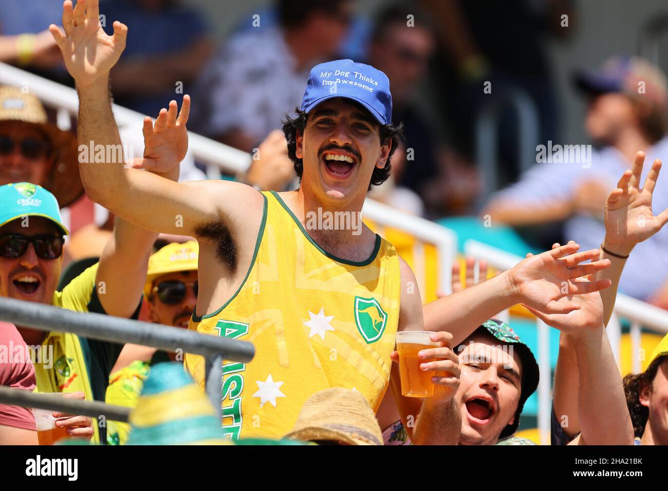 Australia fans celebrate Stock Photo - Alamy