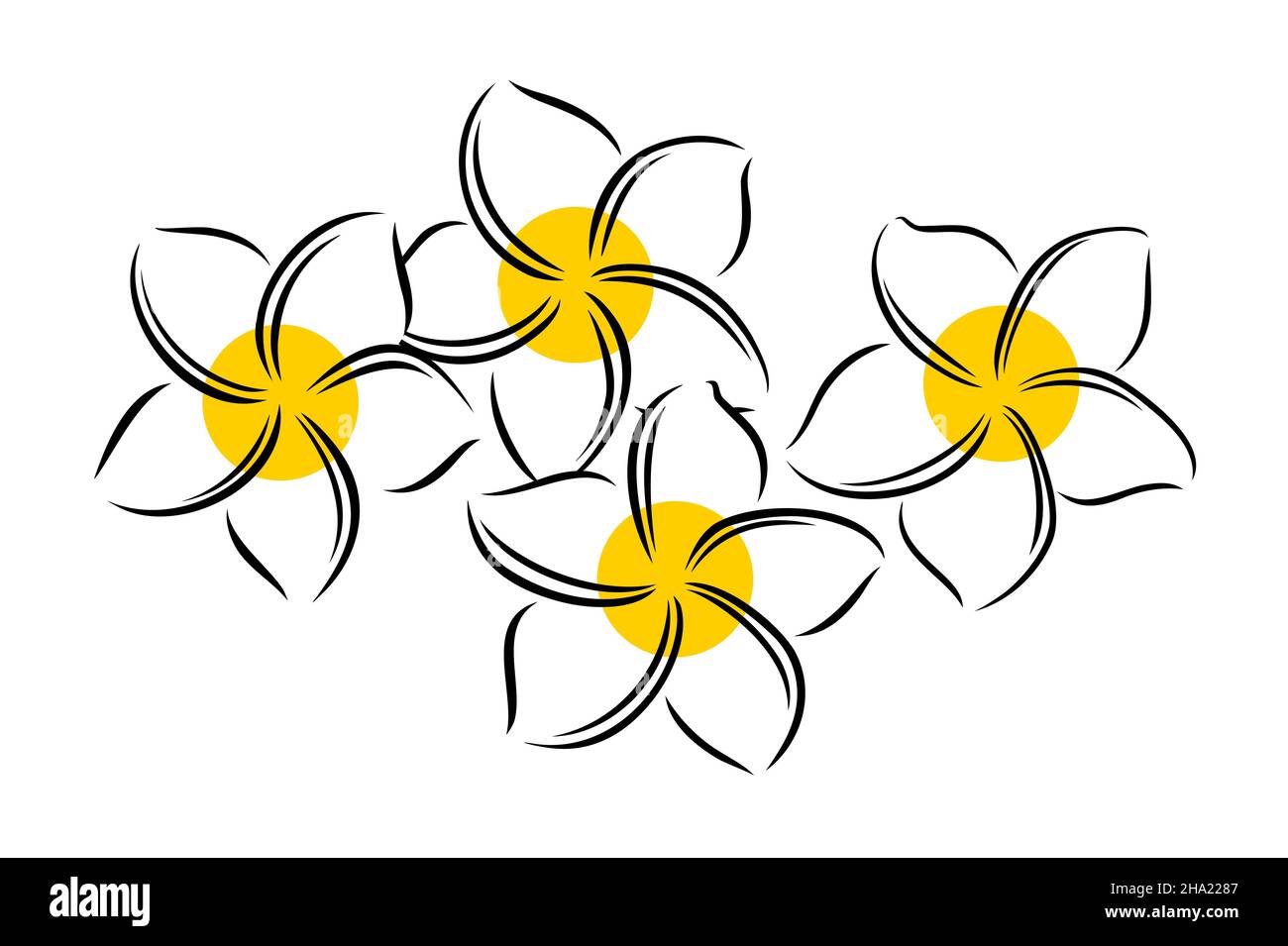 Samoan Flower Drawing