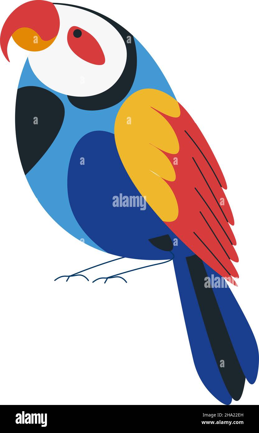 Tropical australia bird Stock Vector Images - Alamy
