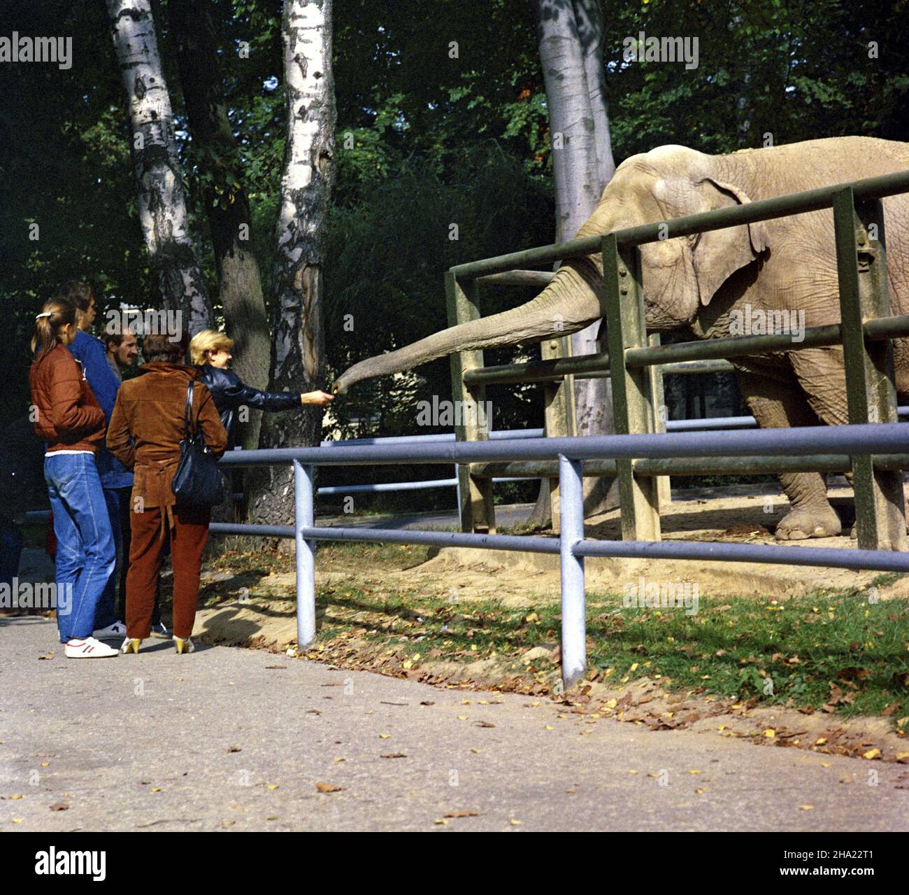 Zoologiczny hi-res stock photography and images - Alamy