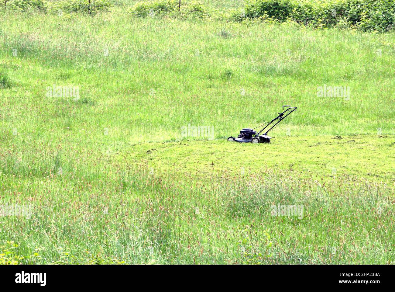 Lawn mower and large field of grass, Oregon Stock Photo - Alamy