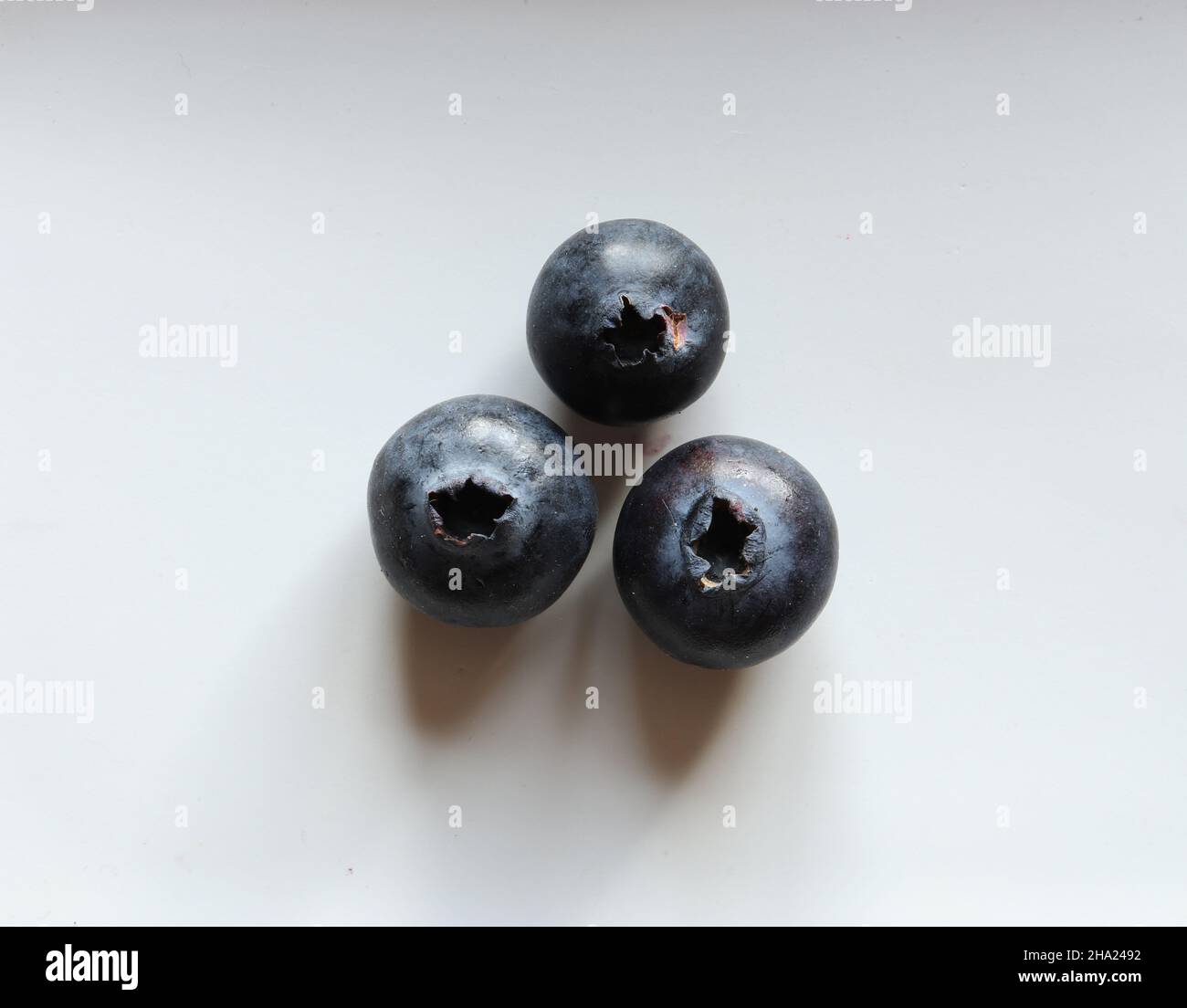 Photography of three blueberries isolated on white for food ...