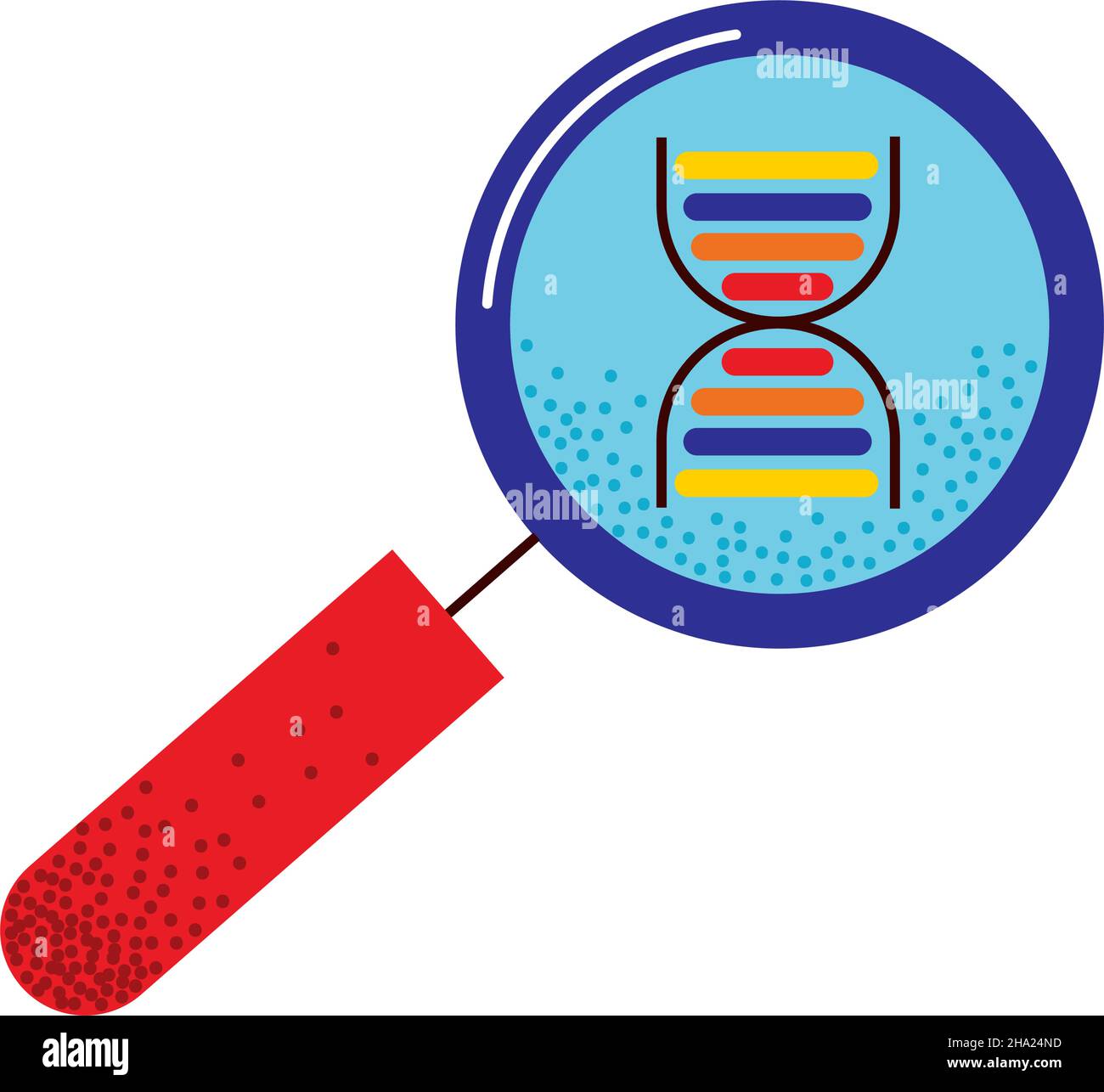 dna in magnifying glass icon Stock Vector Image & Art - Alamy
