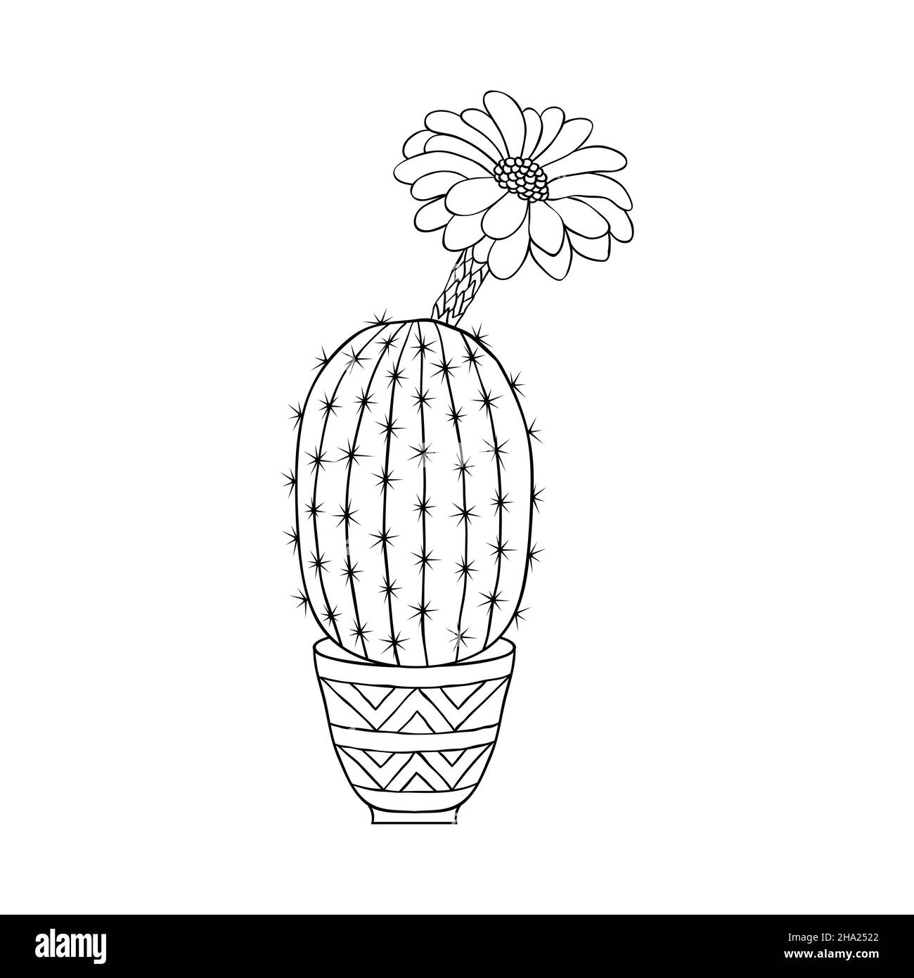 Cactus home plant hand Black and White Stock Photos & Images - Alamy