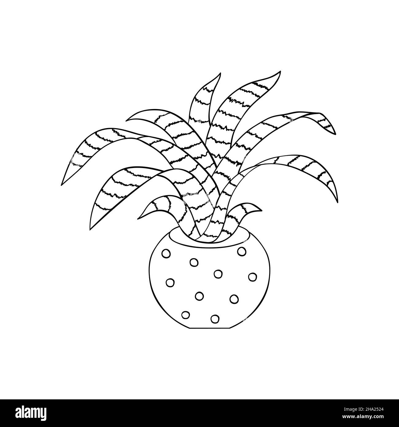 Flower in pot succulent Stock Vector Images - Alamy