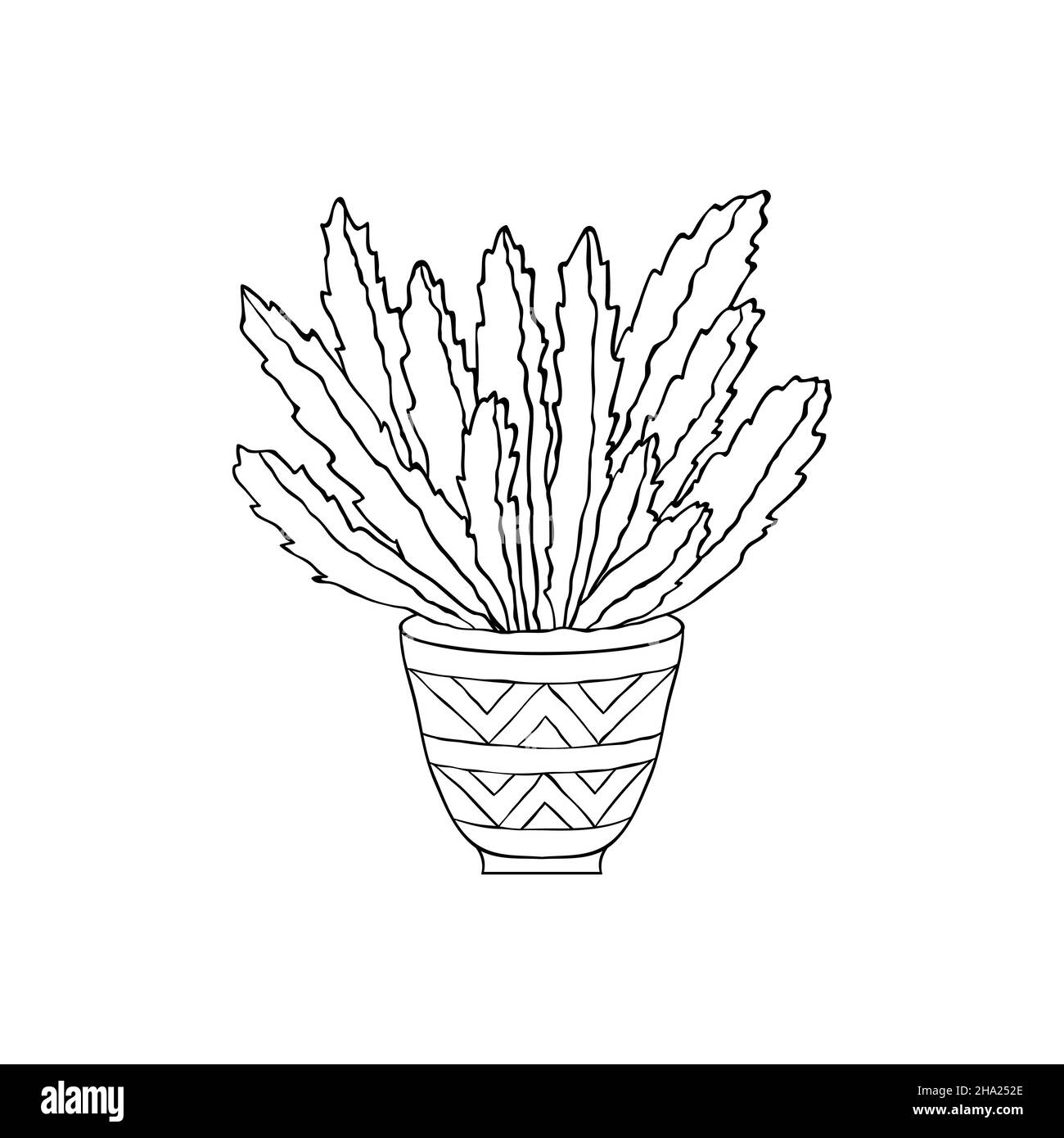 Doodle home icon in Black and White Stock Photos & Images - Alamy