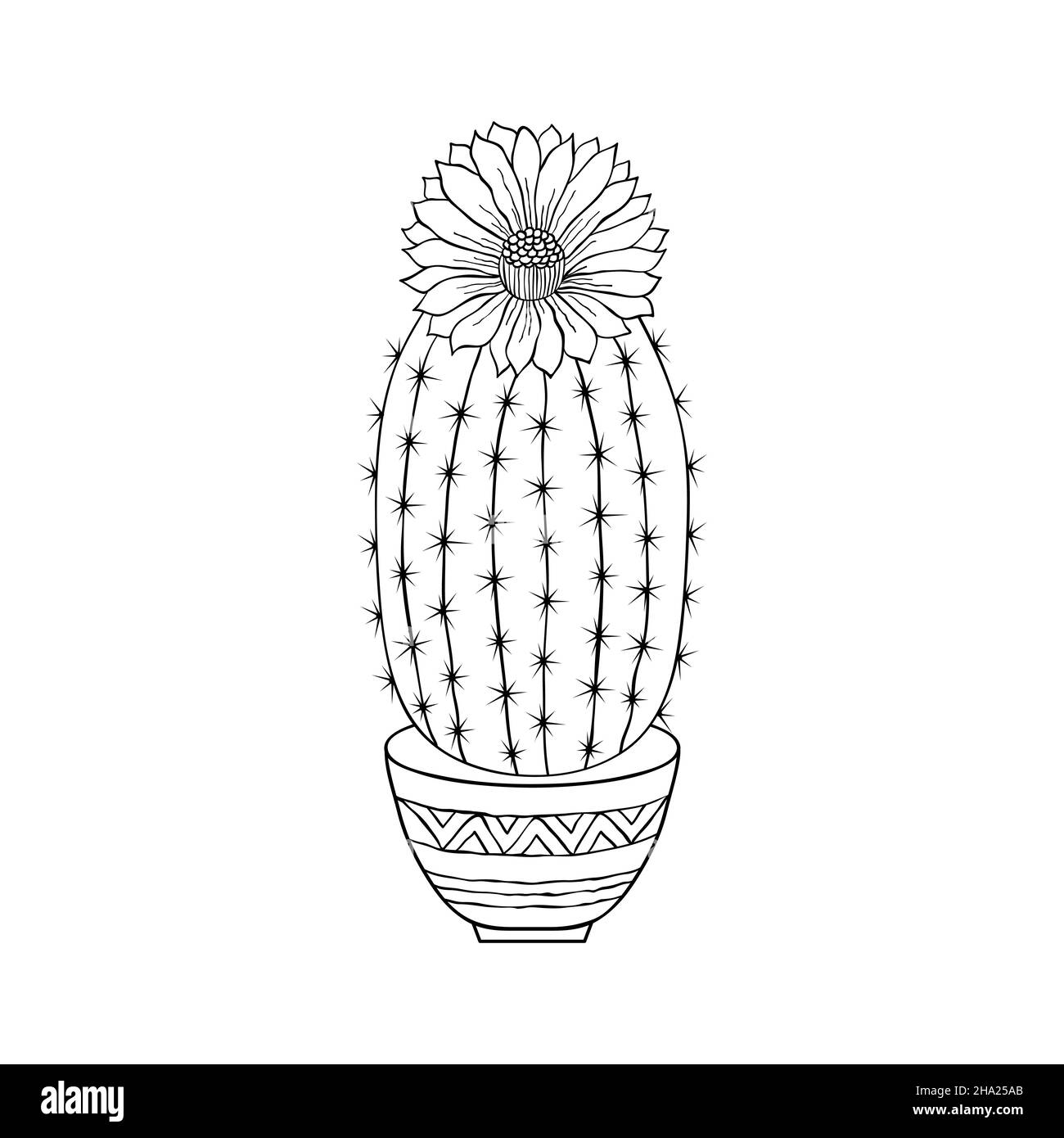 Cactus home plant hand Black and White Stock Photos & Images - Alamy