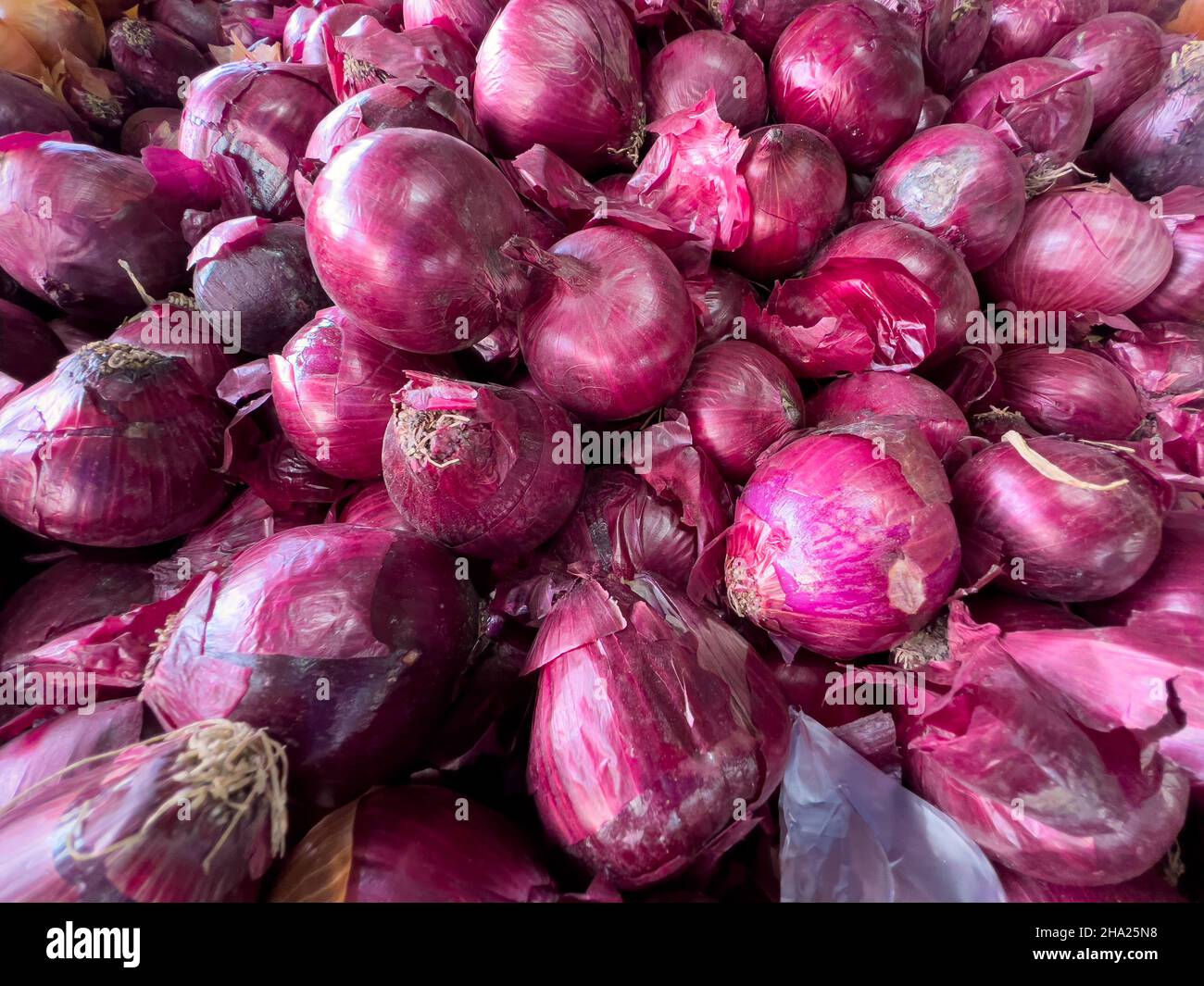 Purple onions fresh onions in hi-res stock photography and images - Alamy