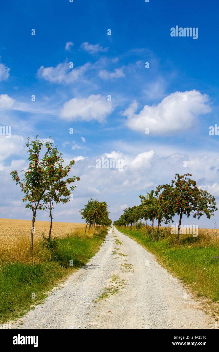 Langer wanderweg hi-res stock photography and images - Alamy