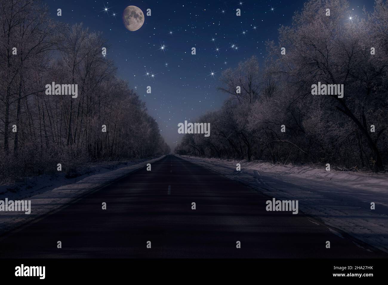 Winter night landscape with road, snowy trees in the forest, moon and ...