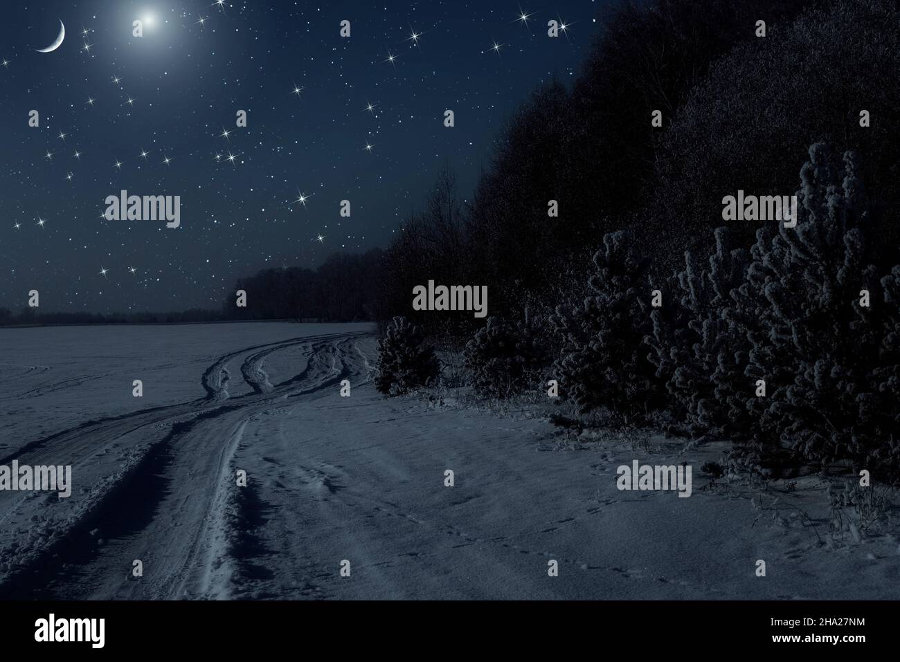Winter night landscape with road, snowy trees in the forest, moon and ...