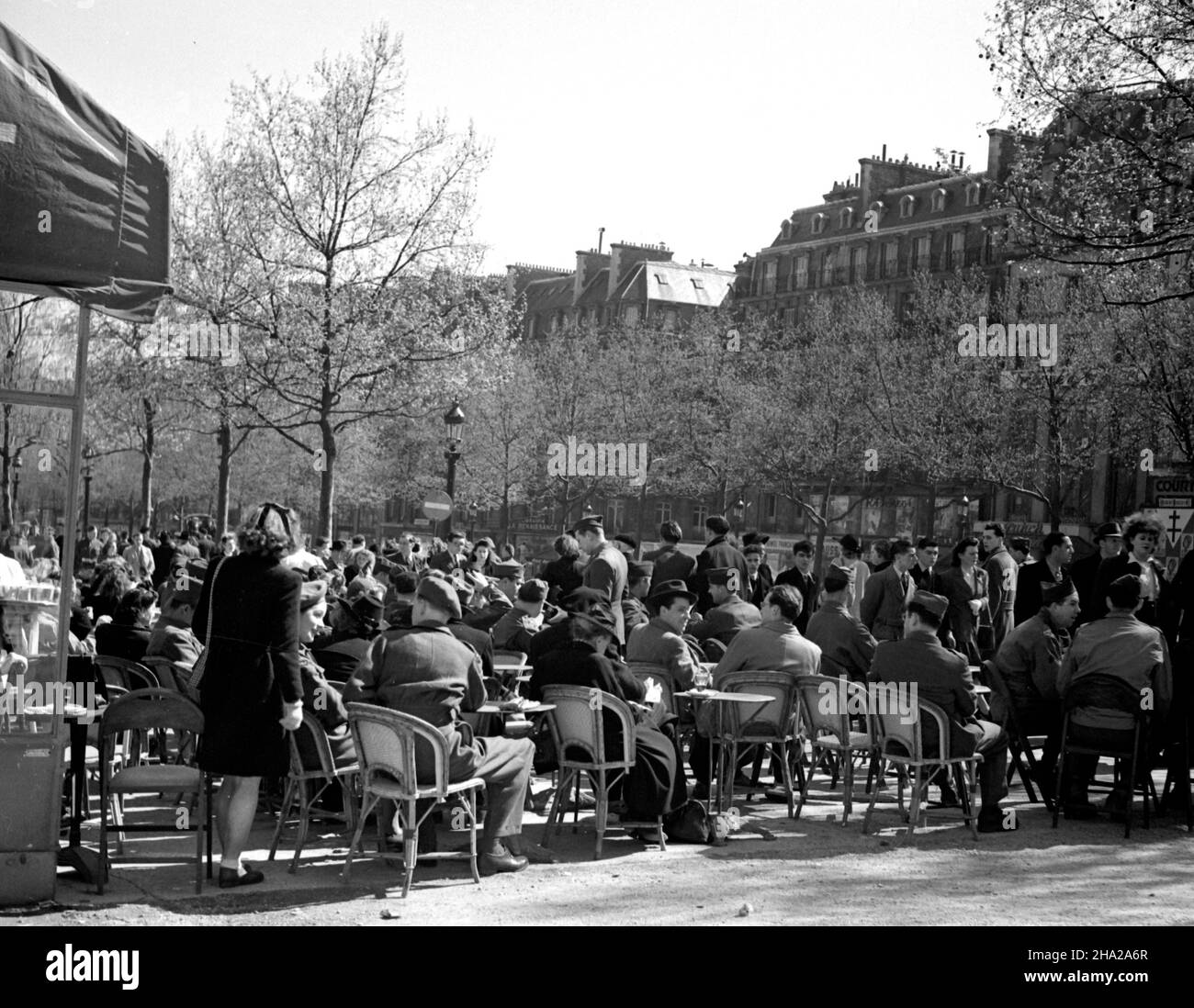 Foliage early spring trees Black and White Stock Photos & Images - Alamy