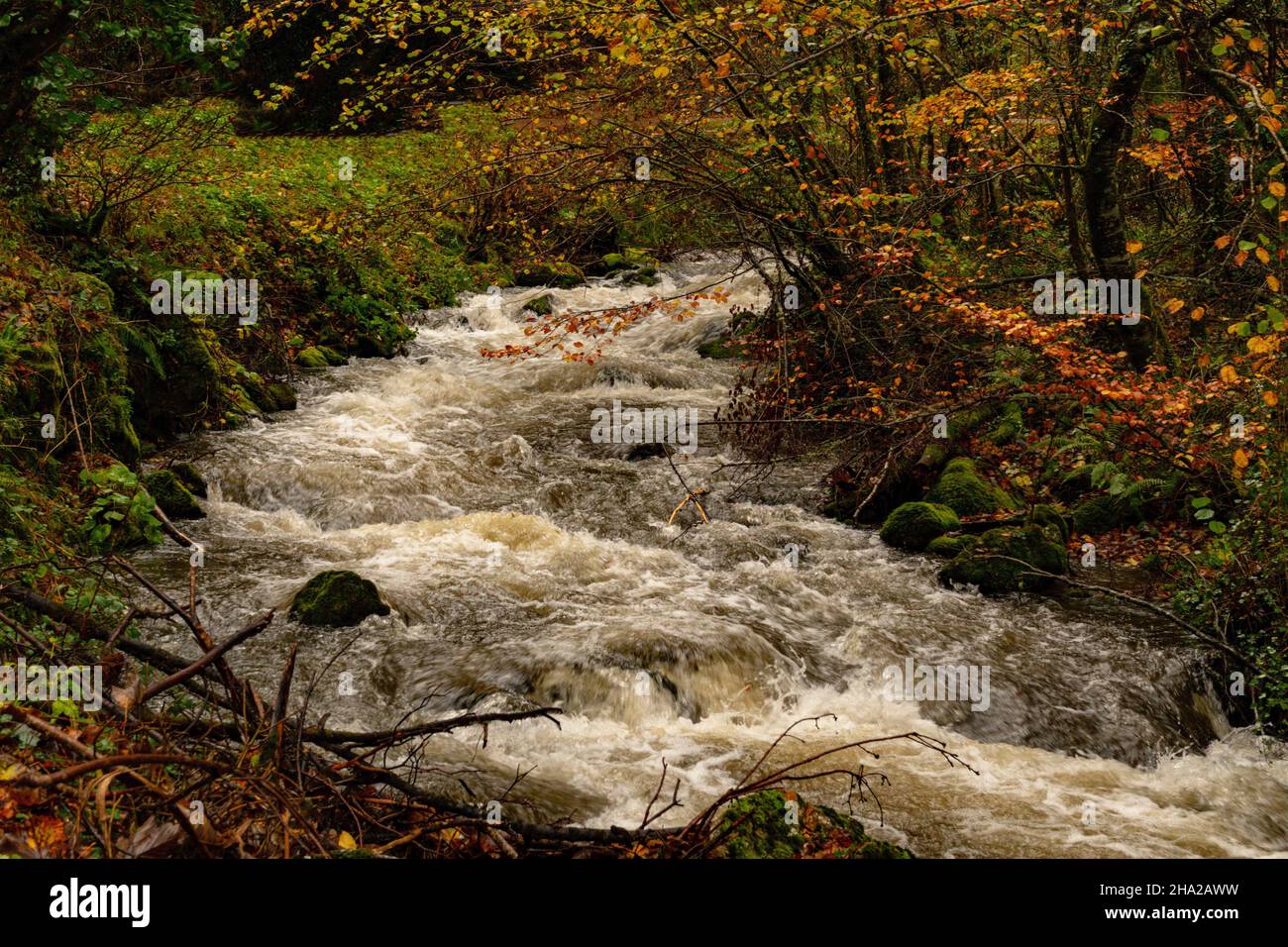 River narcea hi-res stock photography and images - Alamy