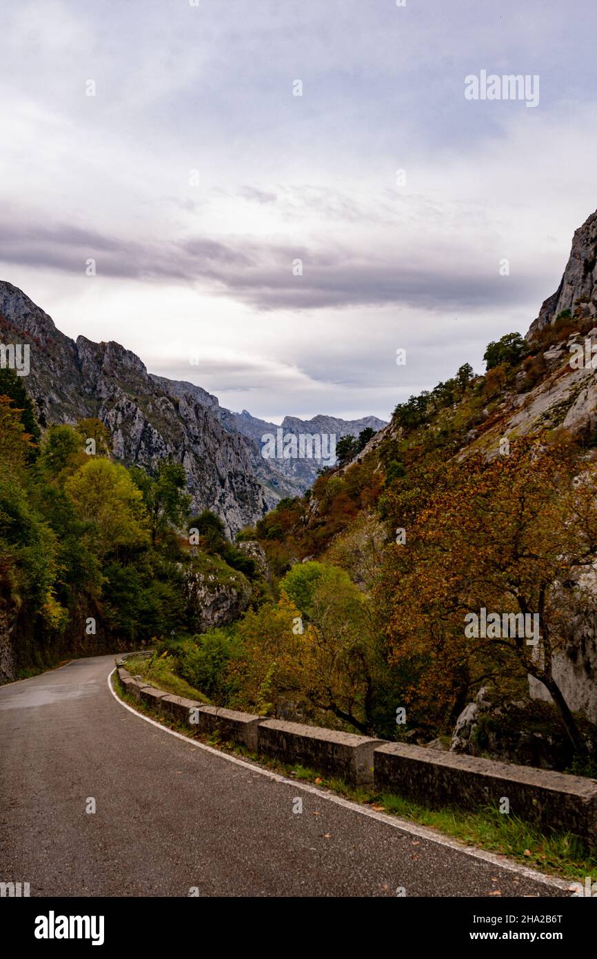Valley of the River Duje in Tielve in the Picos de Europa Stock Photo ...