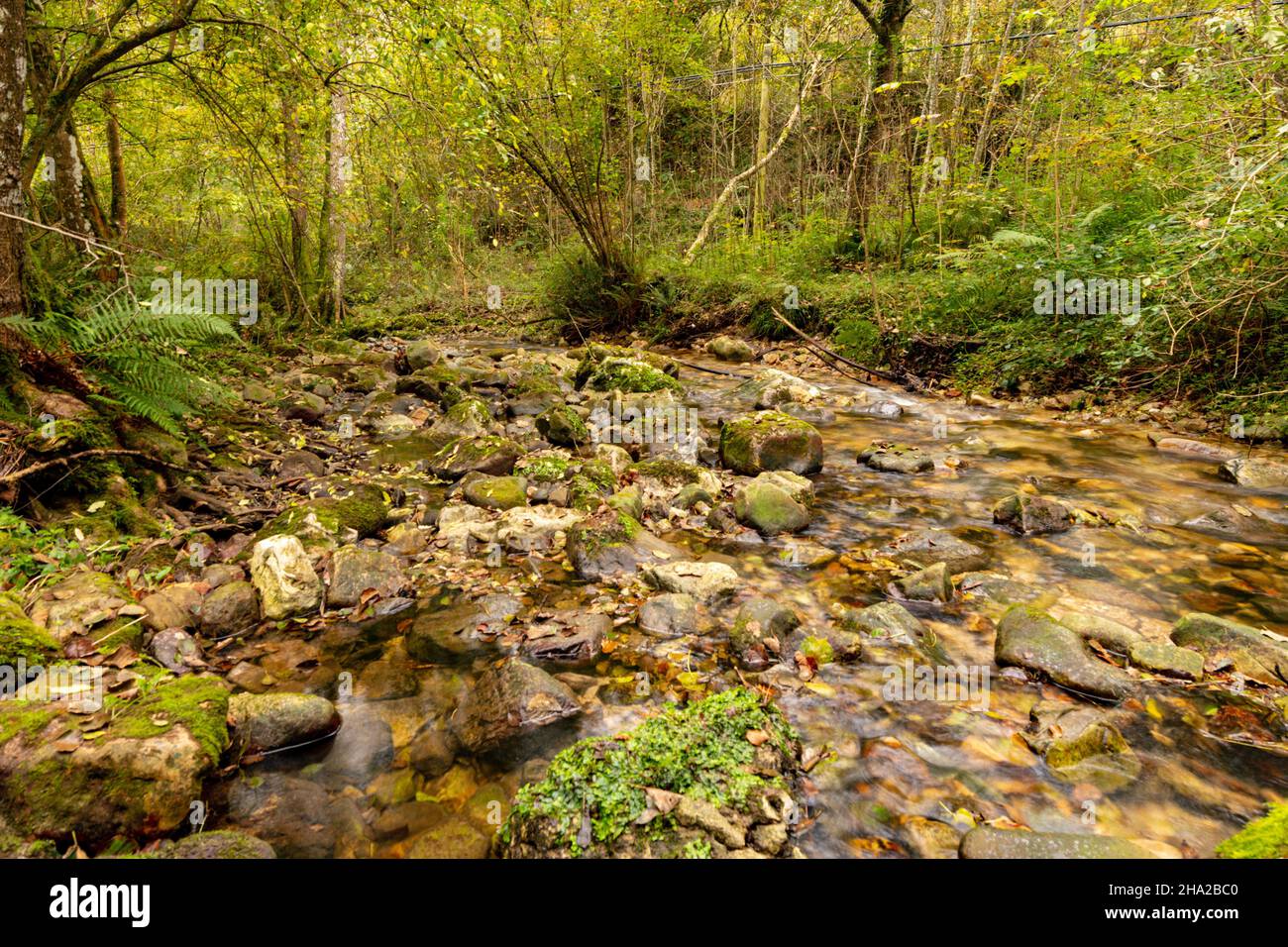 Valley of the River Duje in Tielve in the Picos de Europa Stock Photo ...