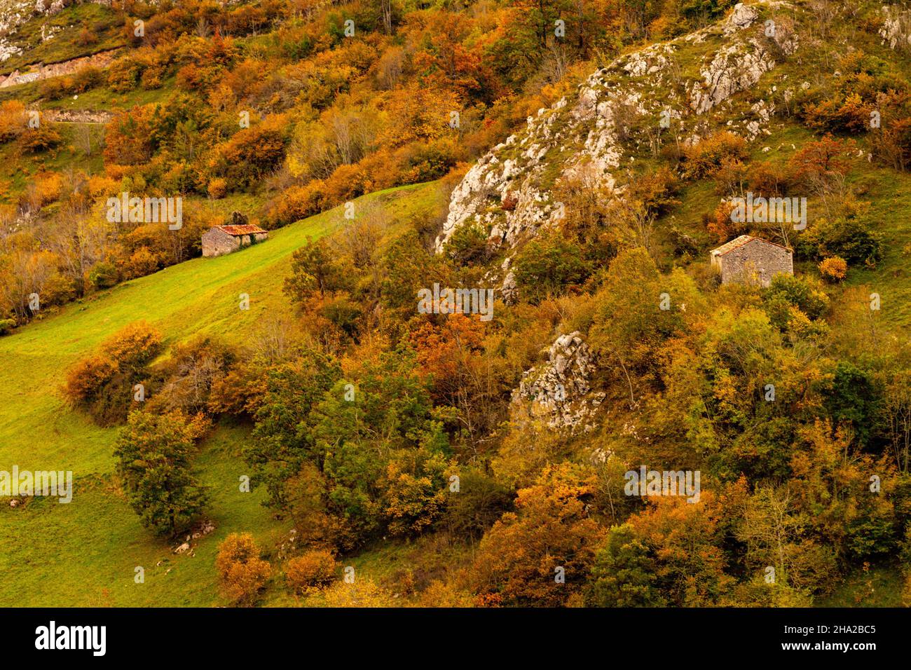 Valley of the River Duje in Tielve in the Picos de Europa Stock Photo ...
