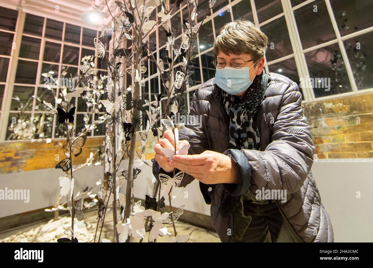 Tree art installation of hi-res stock photography and images - Alamy