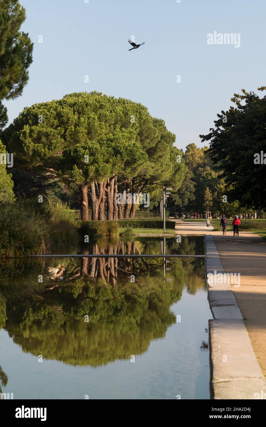 Blagnac (south-western France): park “parc des Ramiers” Stock Photo - Alamy
