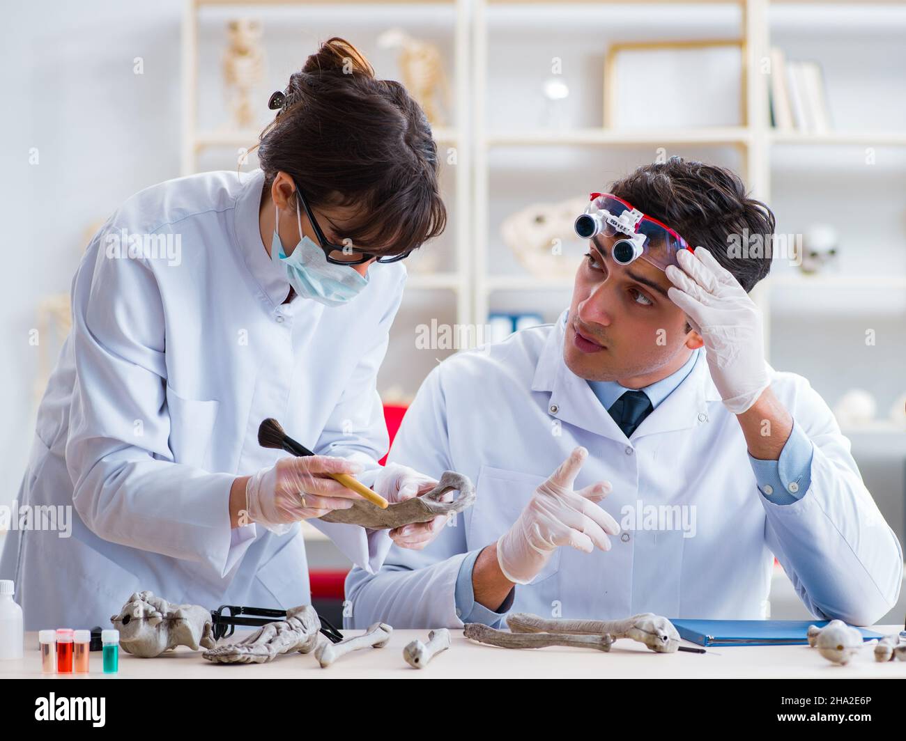The professor studying human skeleton in lab Stock Photo - Alamy