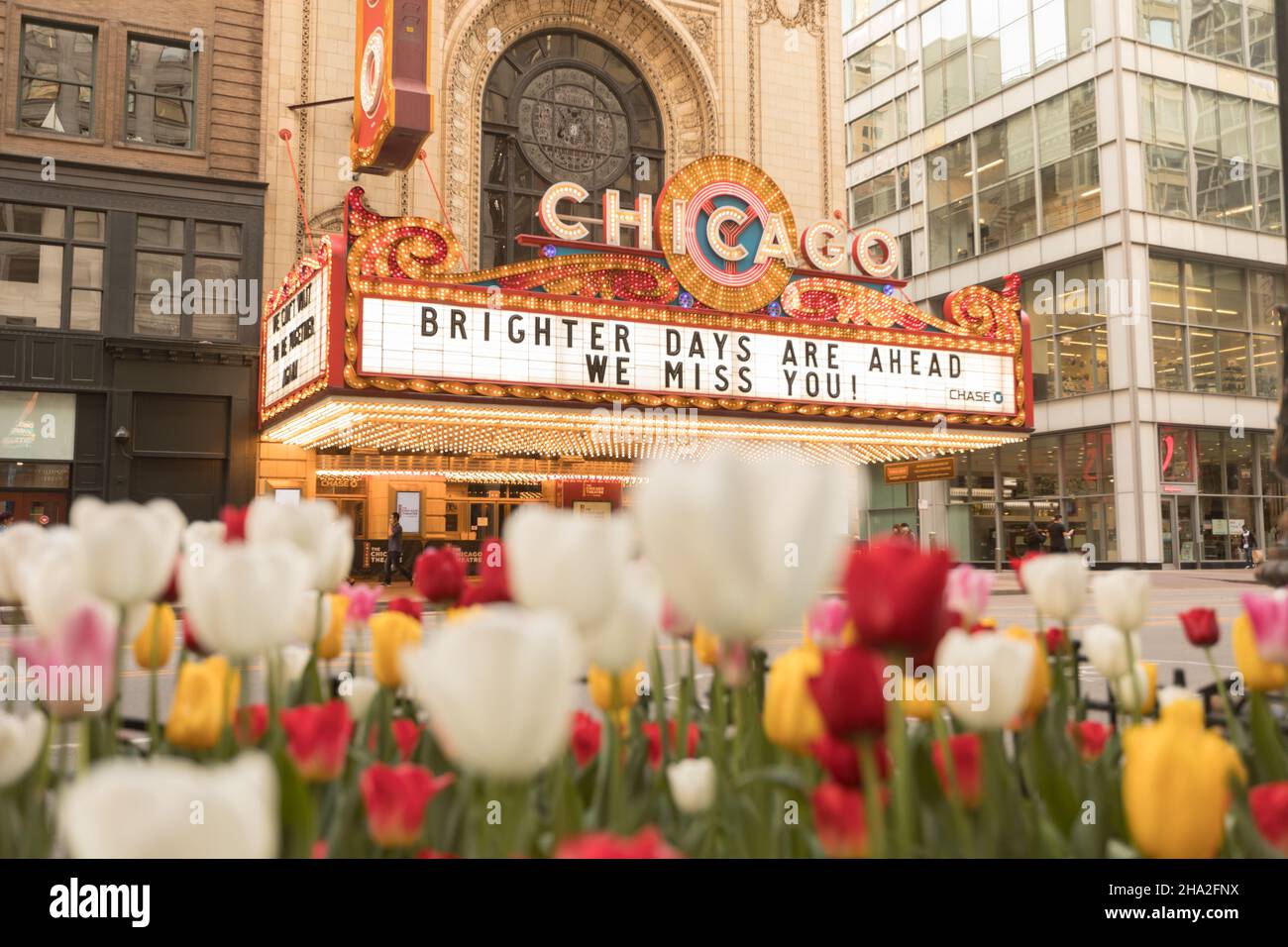 Chicago theater flowers hi-res stock photography and images - Alamy