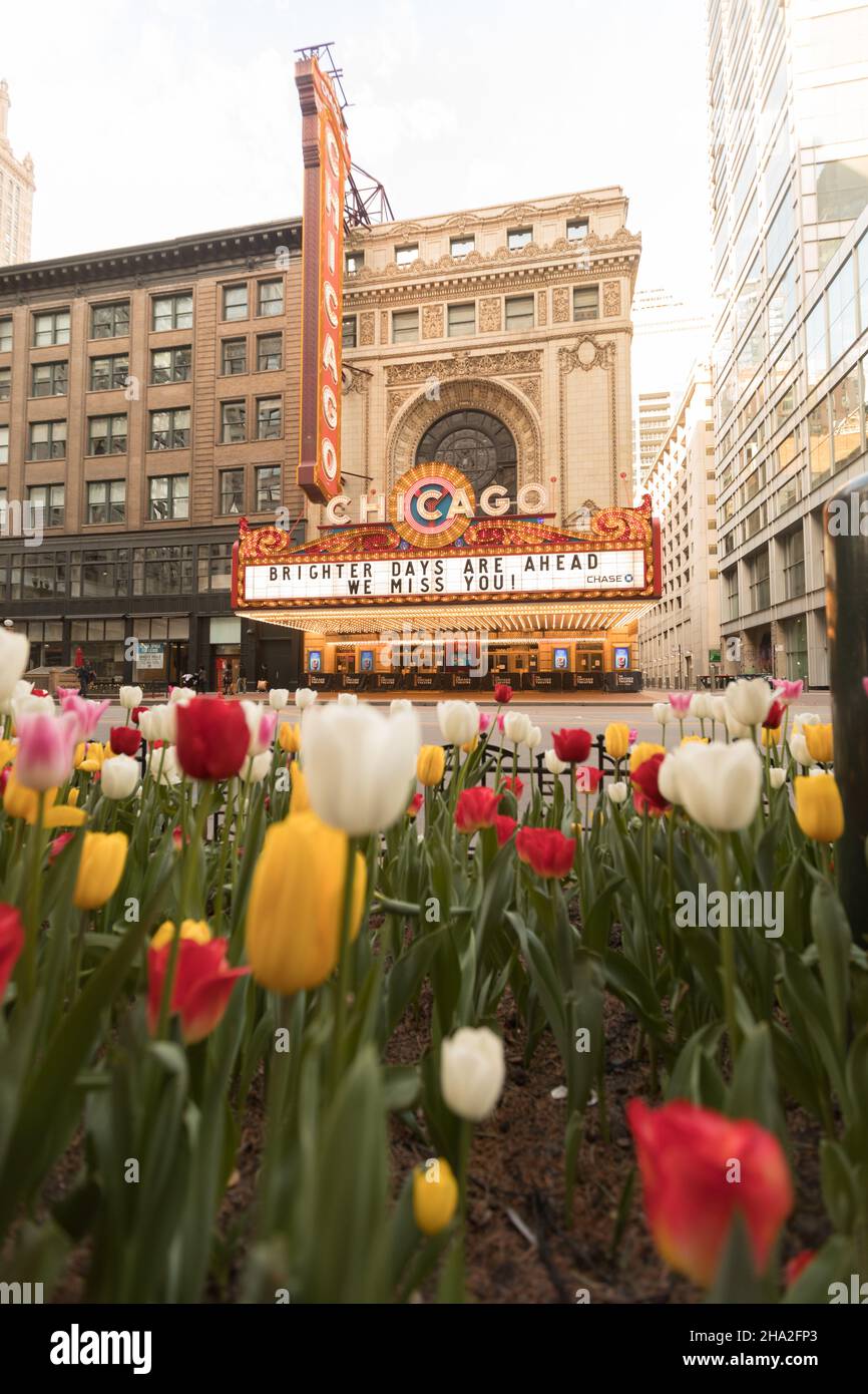 Chicago theater flowers hi-res stock photography and images - Alamy